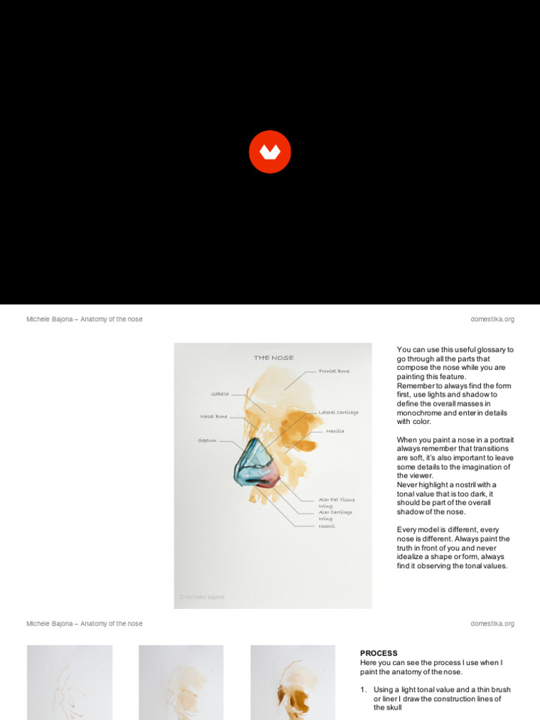 Anatomia: The Nose | PDF | Human Nose