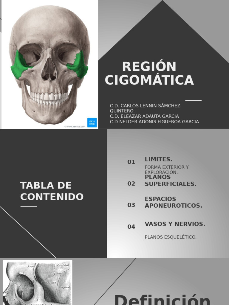 Region Cigomatica | PDF | Anatomía humana | Cabeza y cuello humanos