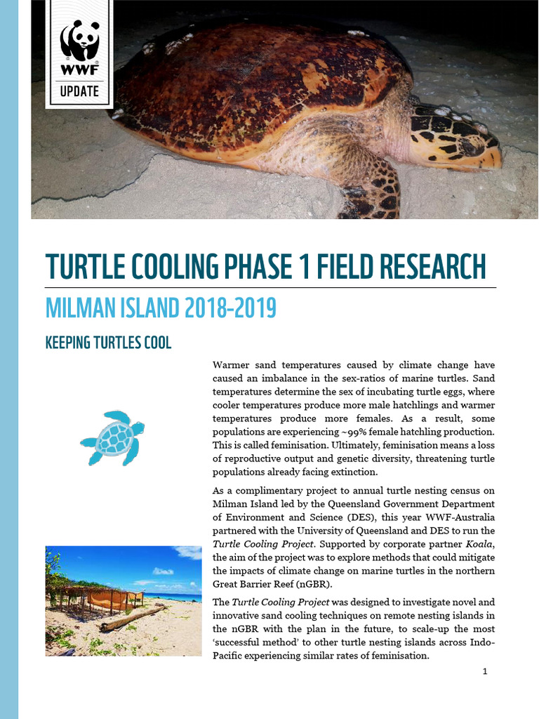 File Milman Island Field Report | PDF | Turtle