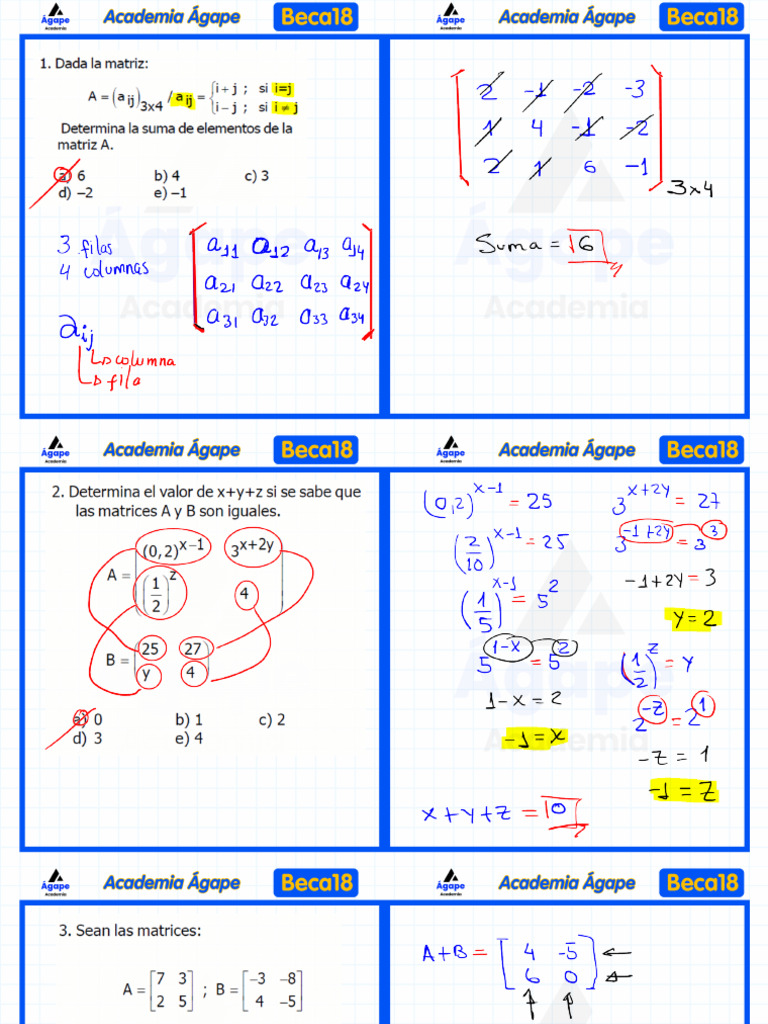 Matrices Algebra Cepre | PDF