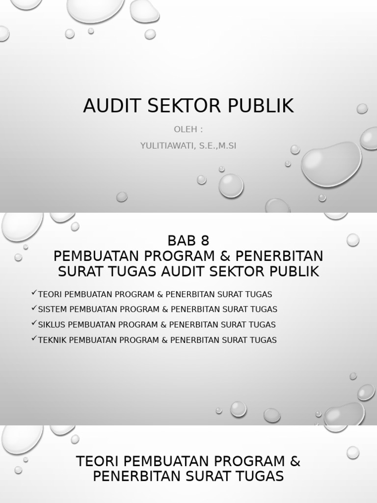 Bab 8 Pembuatan Program & Penerbitan Surat Tugas Audit Sektor Publik | PDF