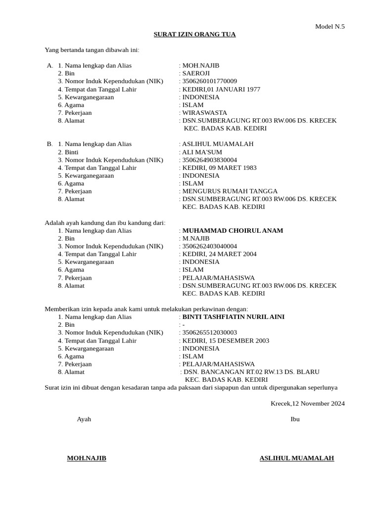 Model N5 | PDF