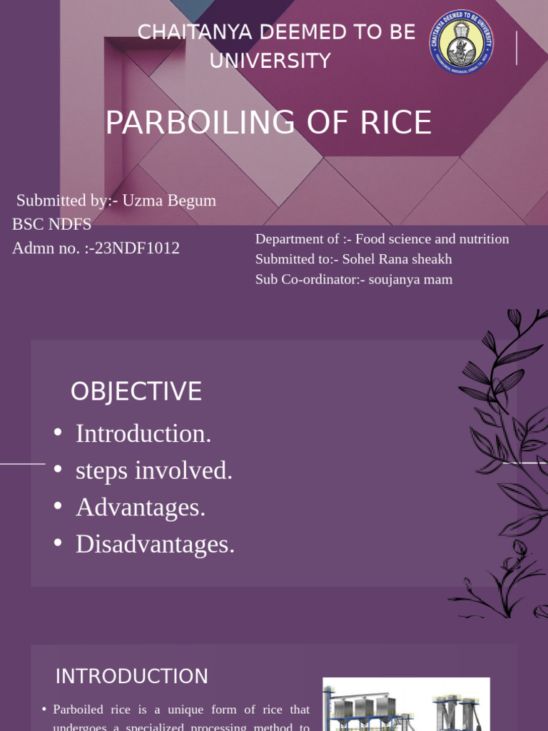 Add A Little Bit of Body Text - 20240720 - 202420 - 0000 | PDF | Rice