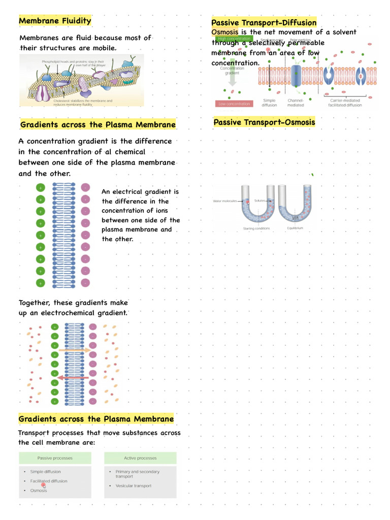 UNIT2 - Cells and Biomolecules | PDF