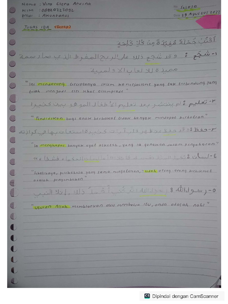 Tugas IBA Vira Citra Ardina | PDF