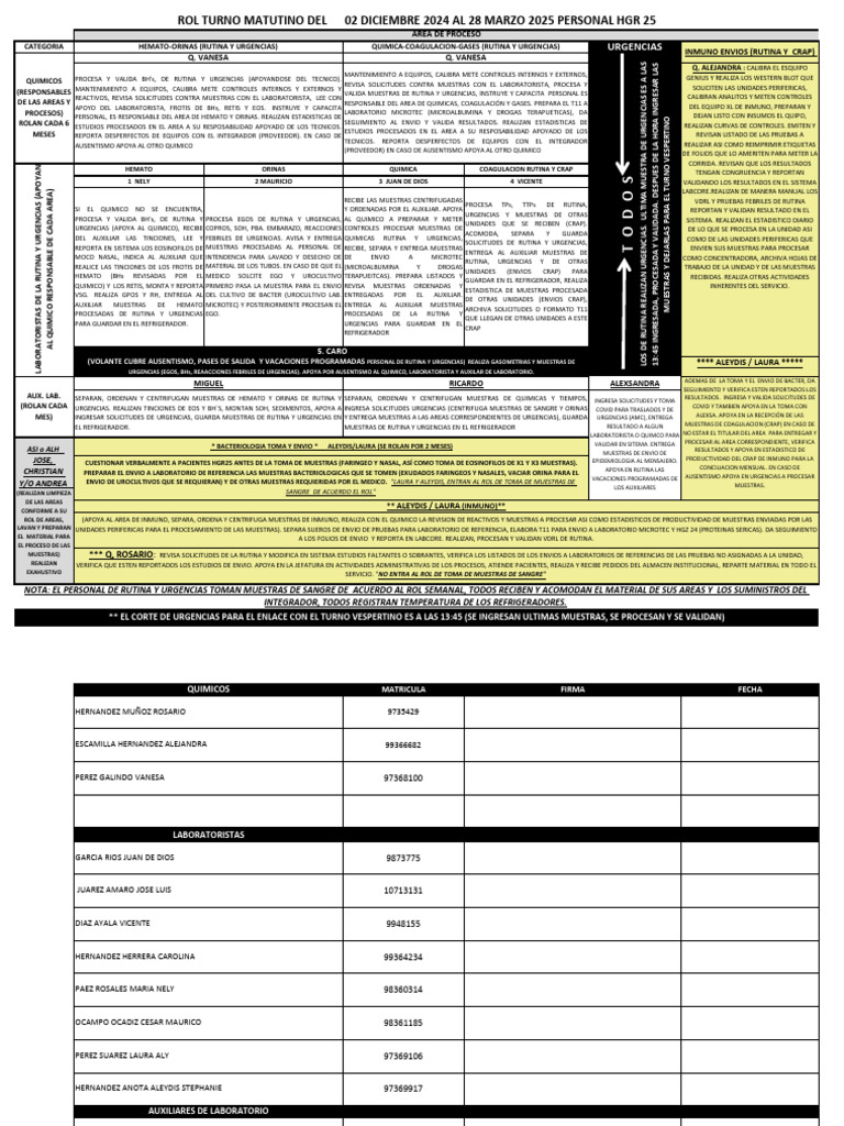 PROCESOS y ROL LAB DIC2024-MAR2025 HGR25 | PDF | Laboratorios