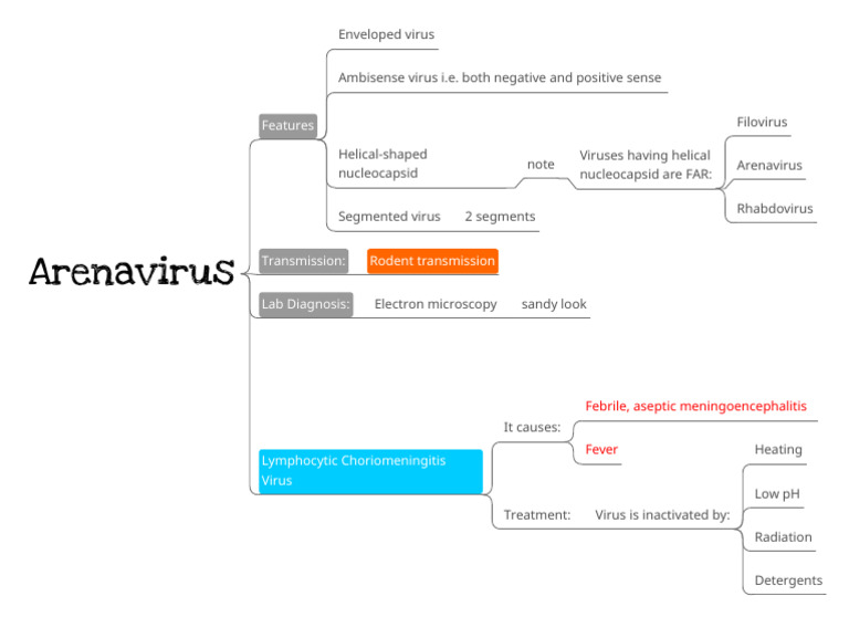 Arenavirus | PDF