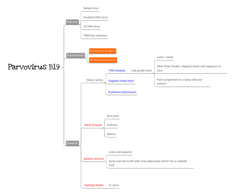 Parvovirus B19 | PDF