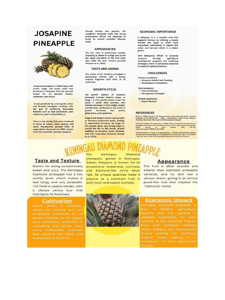 Pineapple Compilation | PDF