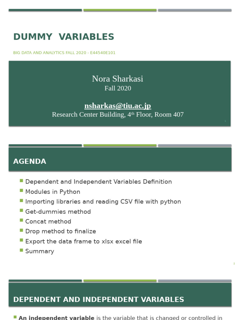 B Dummy Variables | PDF | Dependent And Independent Variables | Categorical Variable