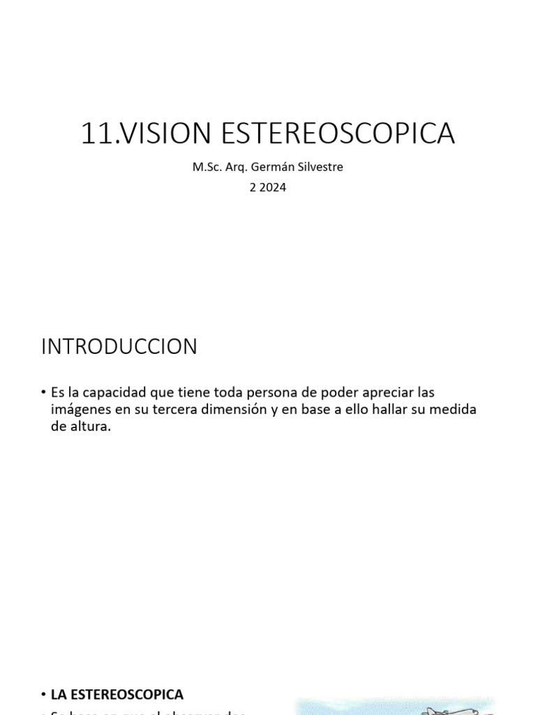 LECCION 11 LA ESTEREOSCOPIA | PDF | Estereoscopia | Visión por computador