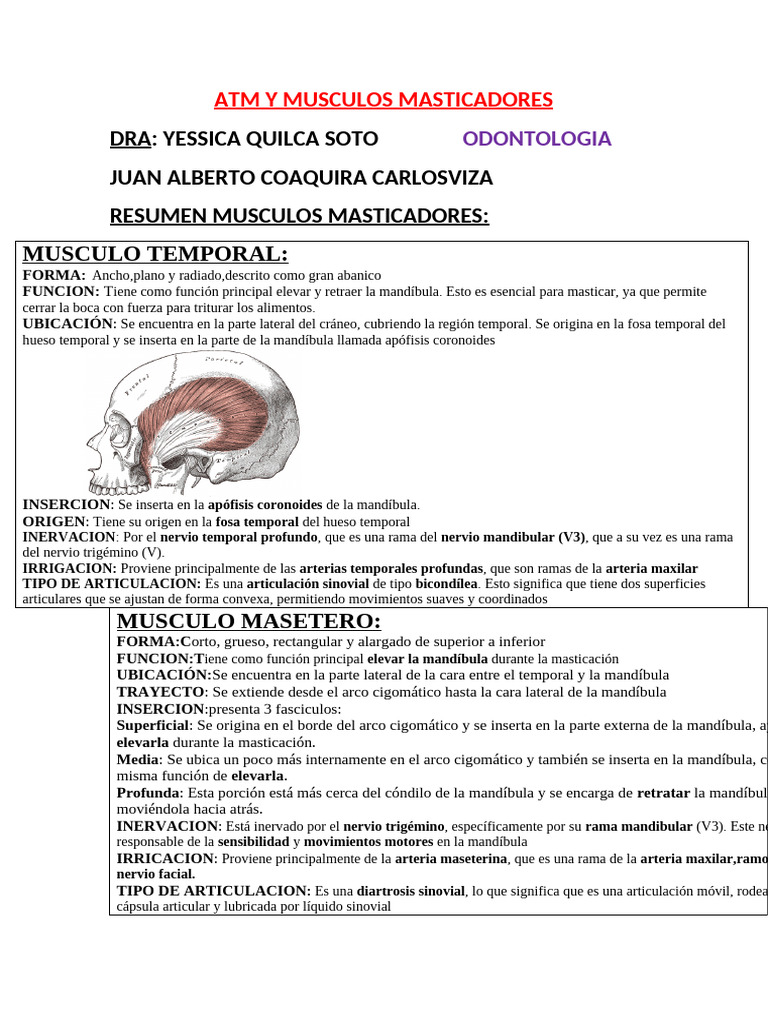 Atm y Musculos Masticadores (Musculos Masticadores) | PDF ...