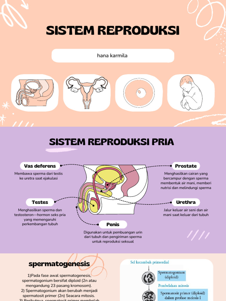 Understanding_Human_Reproduction_Education_Presentation_in_Peach | PDF