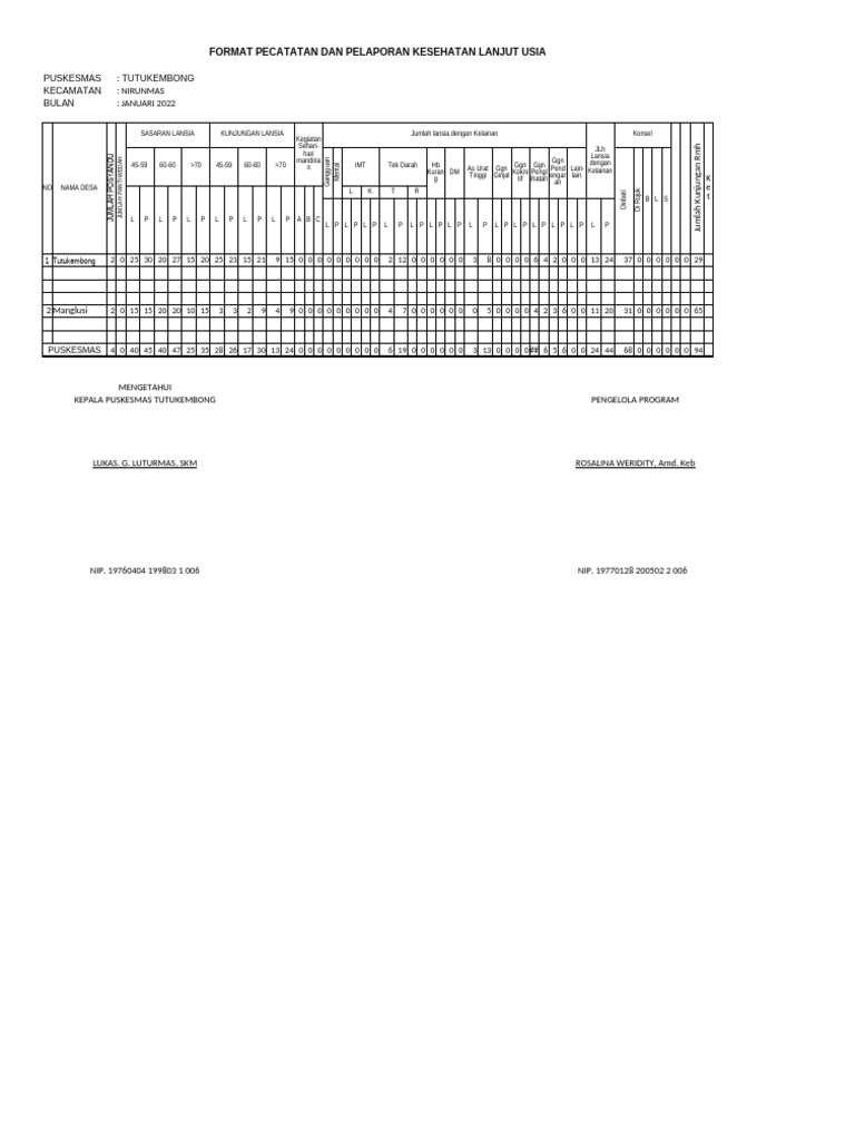 Laporan Lansia 2022 | PDF