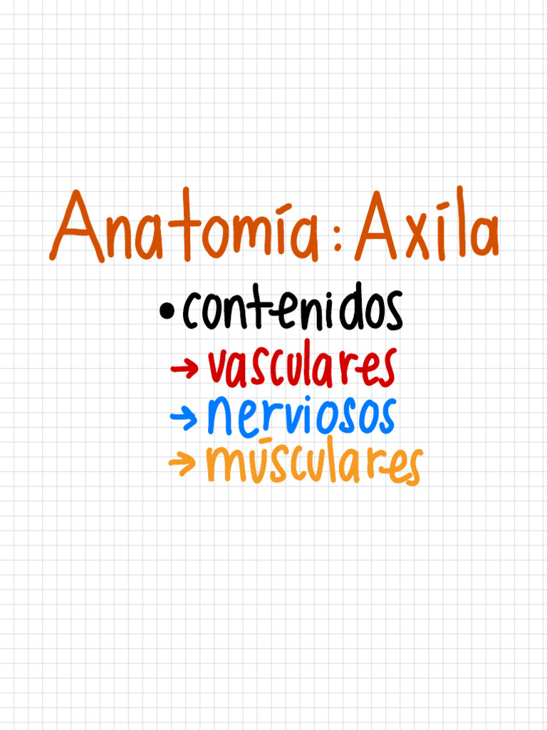Anatomía. Axila, Contenidos Vasculares, Nerviosos y Musculares | PDF ...