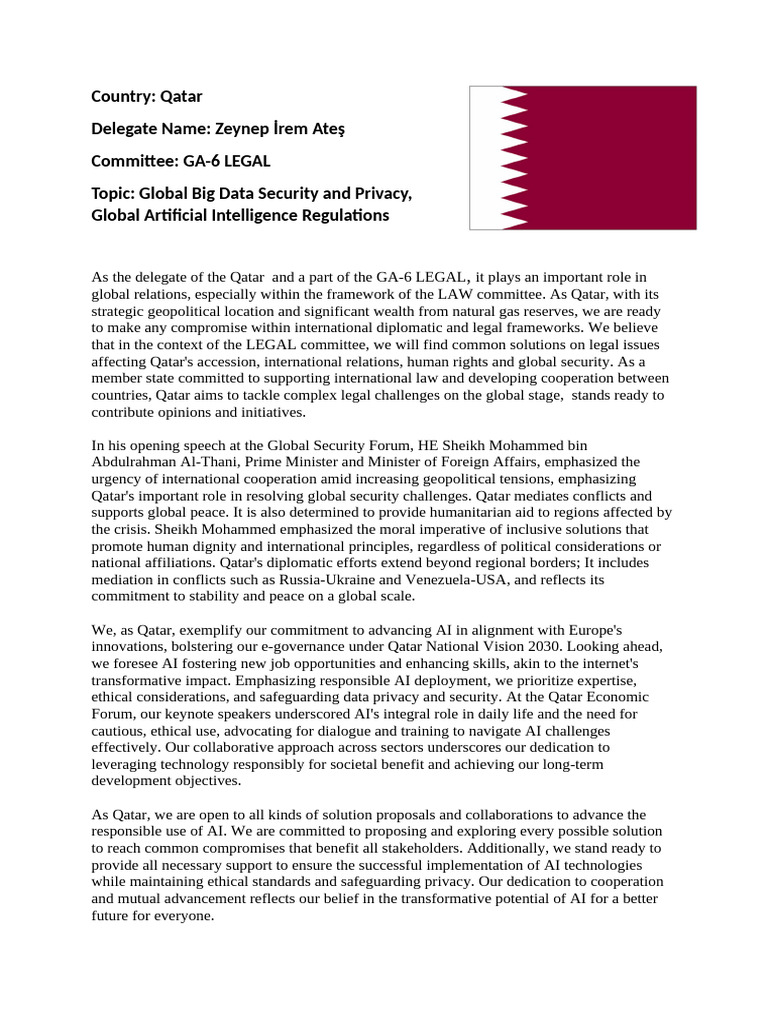 Qatar Position Paper | PDF | Artificial Intelligence | Intelligence (AI ...