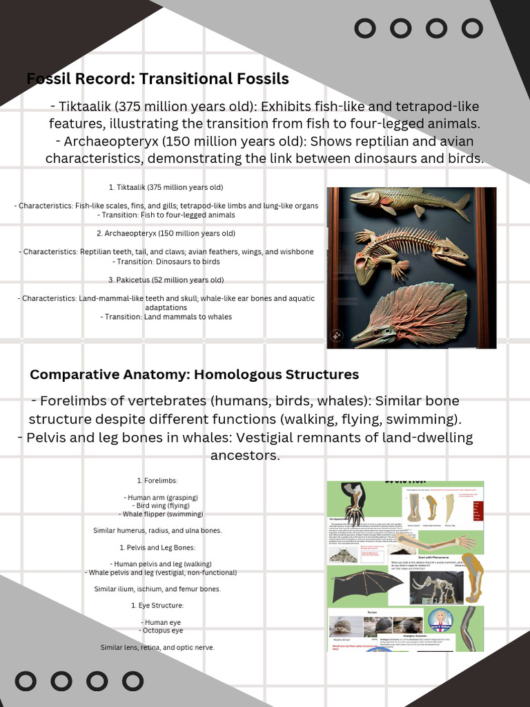 Transitional Fossils and Evolution Evidence | PDF | Homology (Biology) | Birds