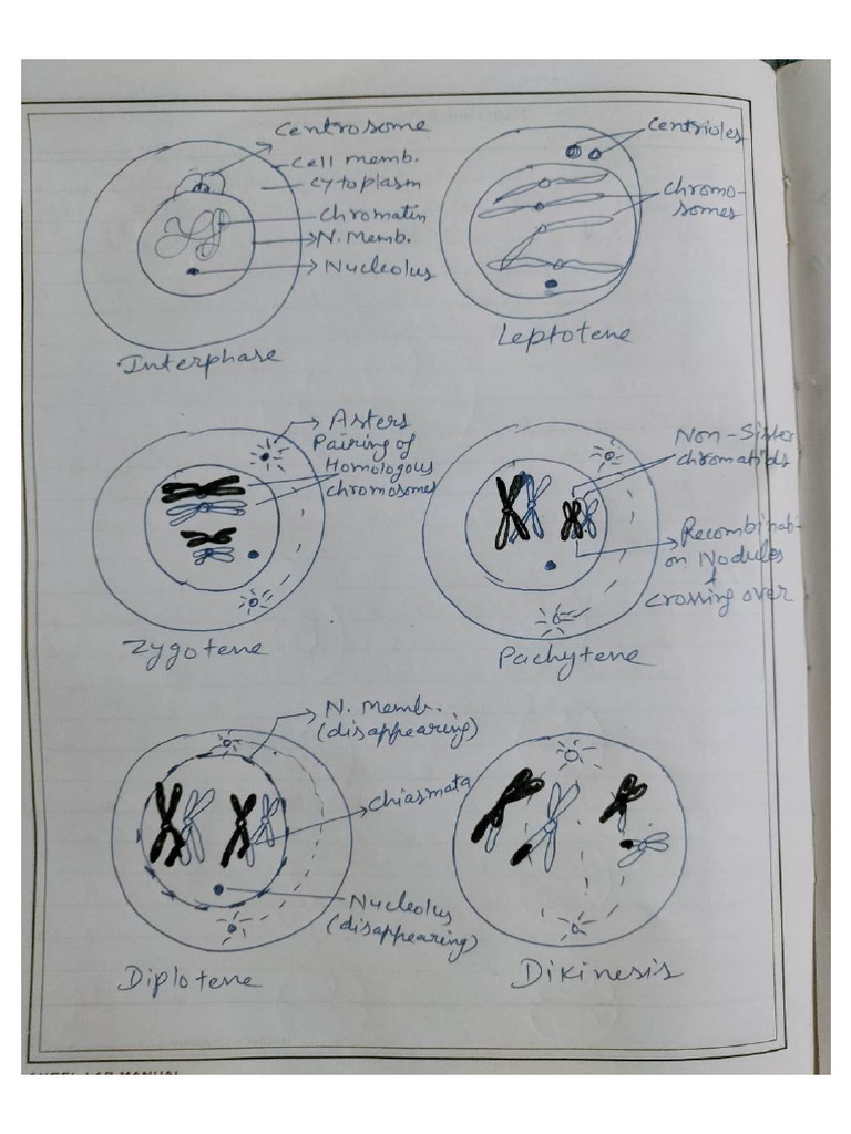 Biology Practicals Number 14-16 | PDF