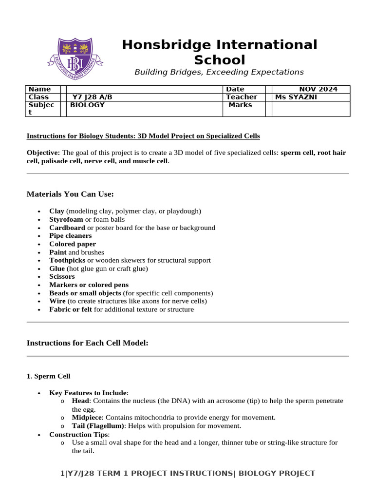 3D Model Project: Specialized Cells | PDF | Axon | Cell (Biology)
