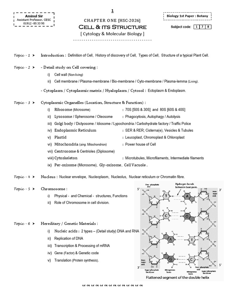 Cell Structure & Function Guide | PDF | Ribosome | Translation (Biology)