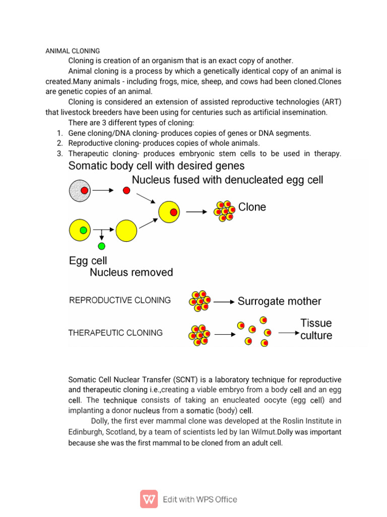 ANIMAL CLONING | PDF | Cloning | Developmental Biology