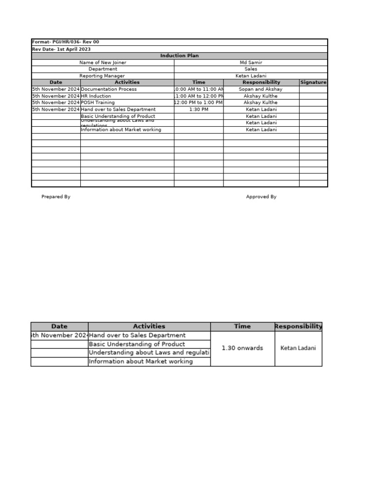 Induction Plan | PDF