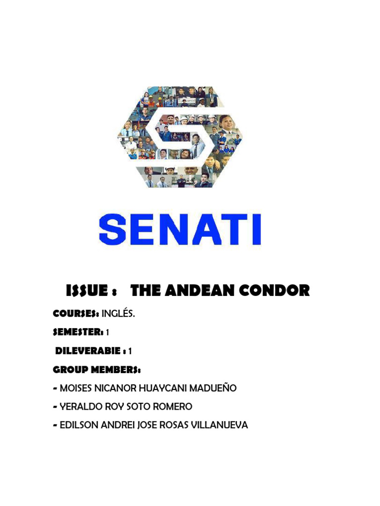 Proyect Final Inglés | PDF