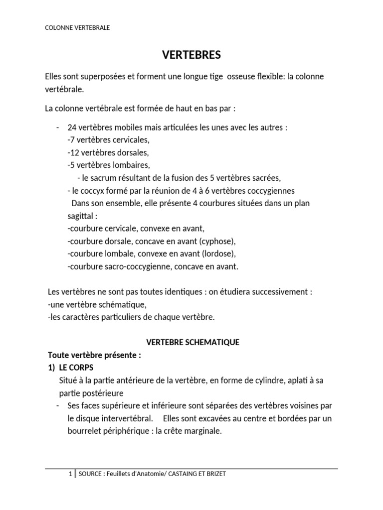 Vertèbres sacrées et colonne vertébrale | PDF | Vertèbre | Colonne ...