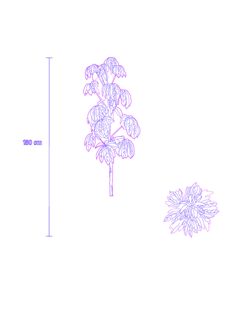Plant 2 | PDF