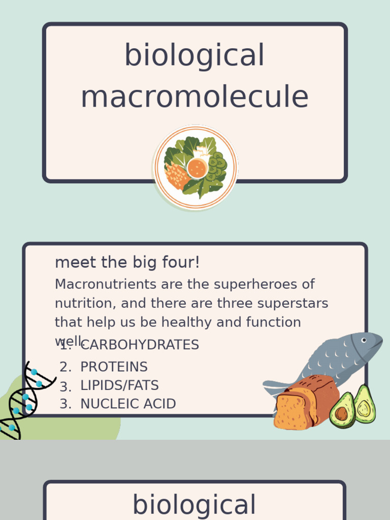 Biological Macromolecule | PDF | Carbohydrates | Lipid