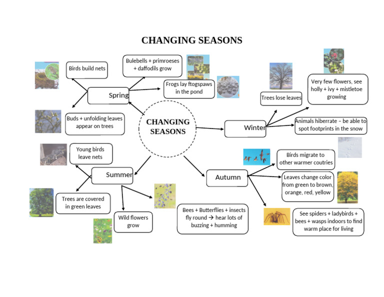 Changing Seasons | PDF