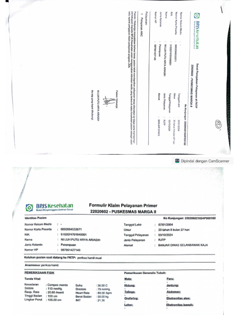 12 Ni Luh Putu Arya Ariasih | PDF