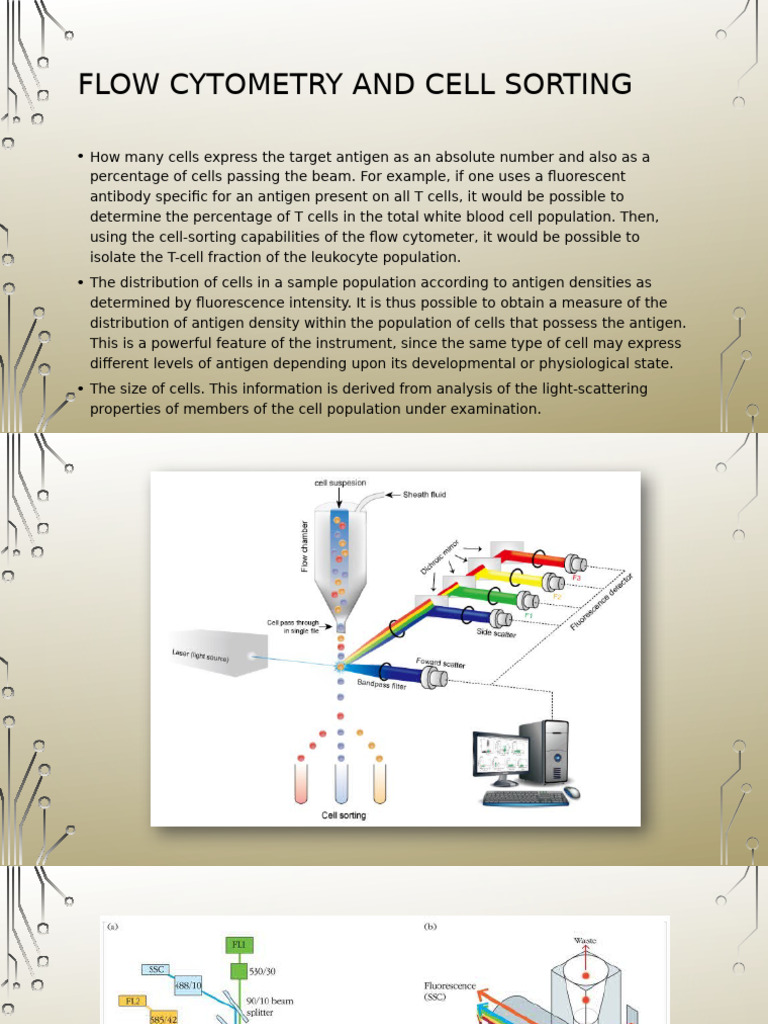Flow Cytometry and Cell Sorting | PDF