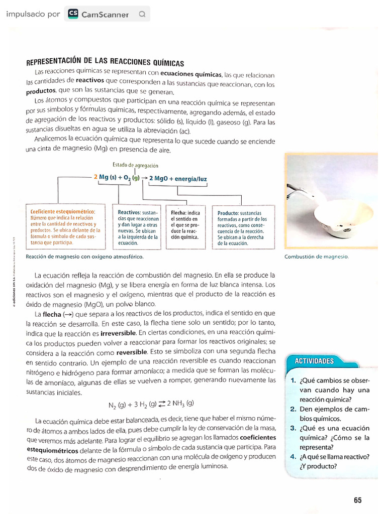 2-b. F-Sico Qu-Mica. Unidad 5 - Reacciones Qu-Micas | PDF
