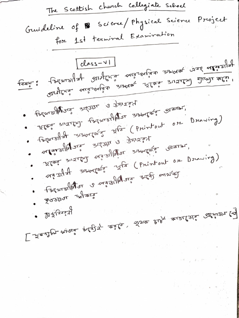 Physical science project guideline of 1st term 2023 | PDF