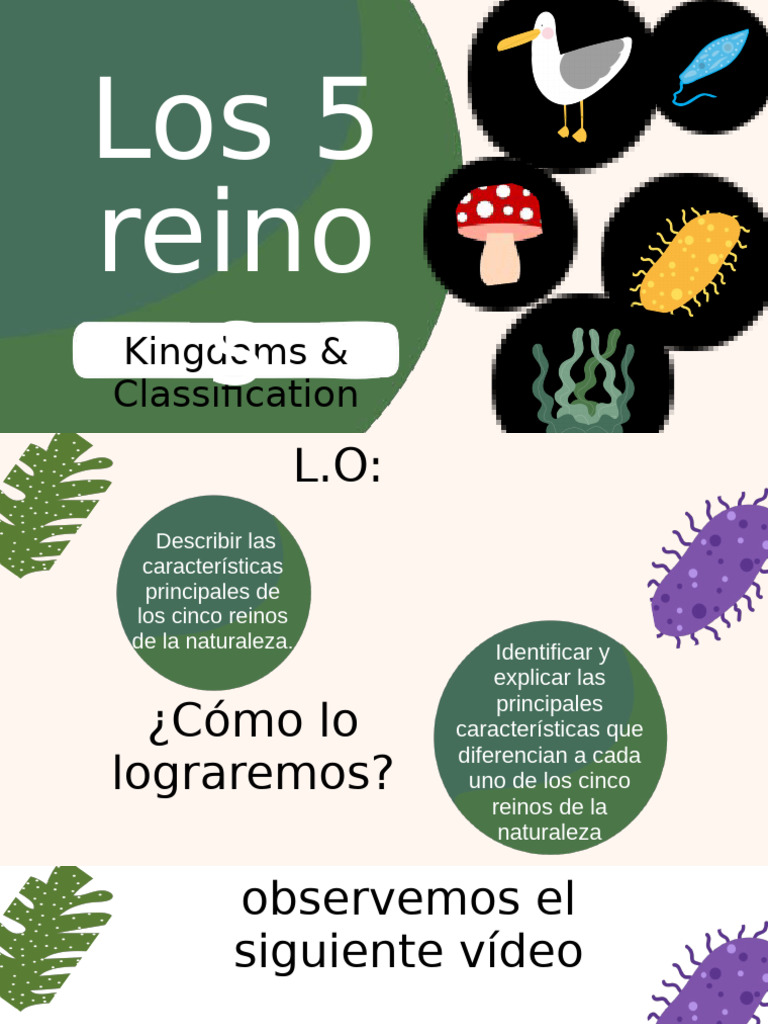 The Five Kingdoms Biology Presentation in A Green Illustrative Style | PDF