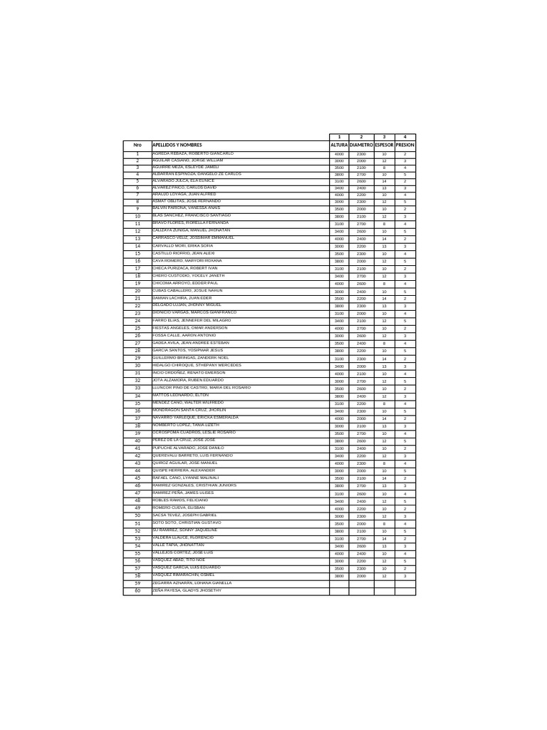 MEDIDAS DE TANQUE DE GNV 2024 11 28 | PDF