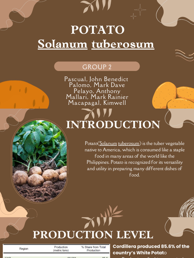 Potato | PDF | Potato | Fertilizer