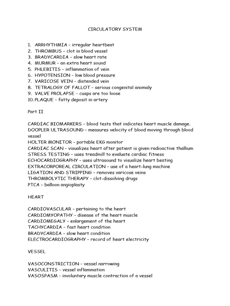 circulatory-system-pdf | PDF | Heart | Blood Vessel
