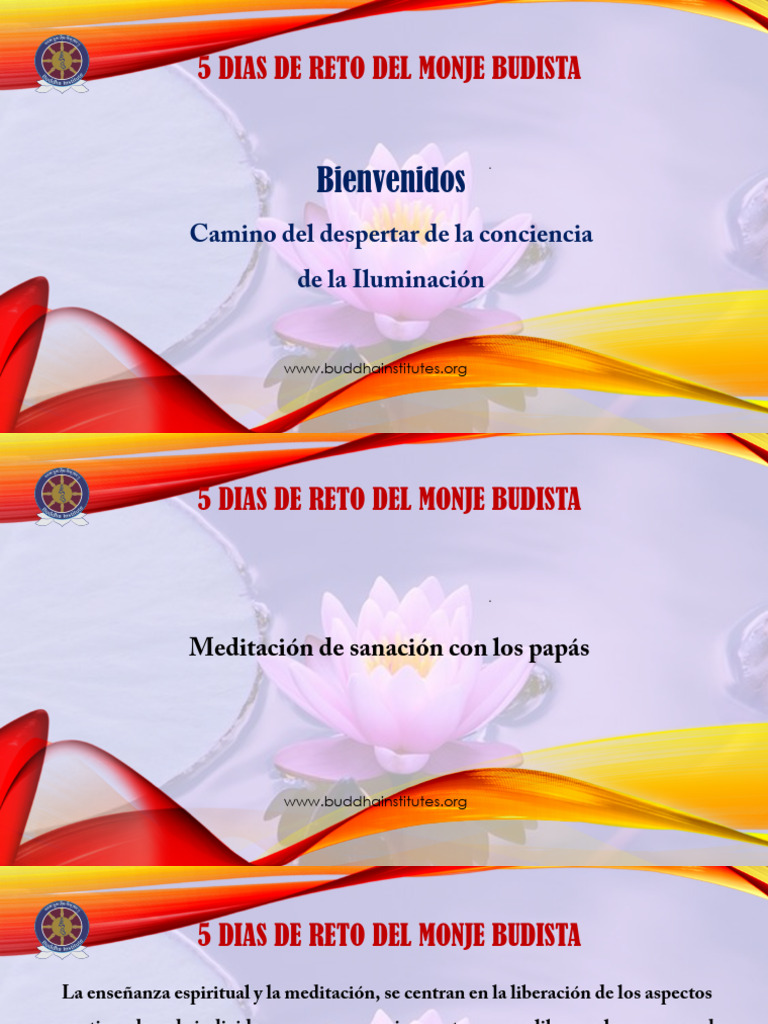 5 Dia de R.M.B Apego 2 Rev 1 | PDF | Sufrimiento | Sicología