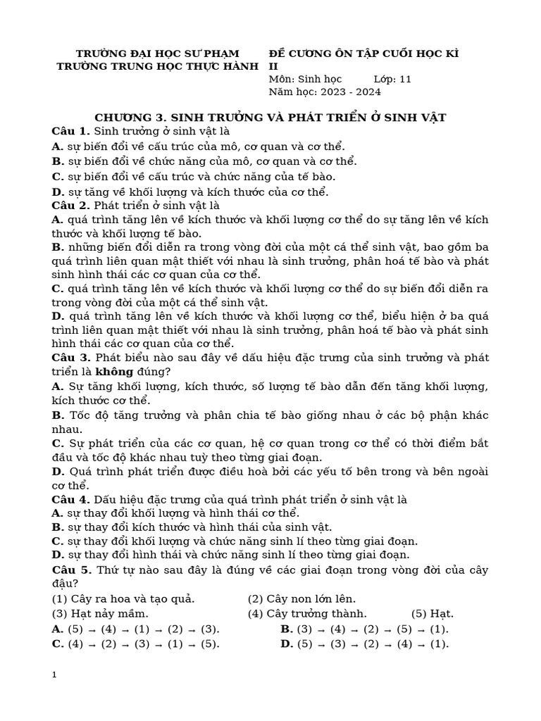 s11 - de Cuong Cuoi Hkii | PDF