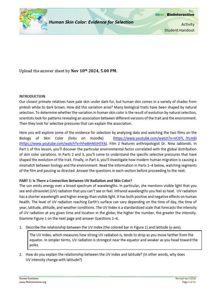 BT1010 Lifesciences Assignment 3 | PDF | Human Skin Color | Ultraviolet
