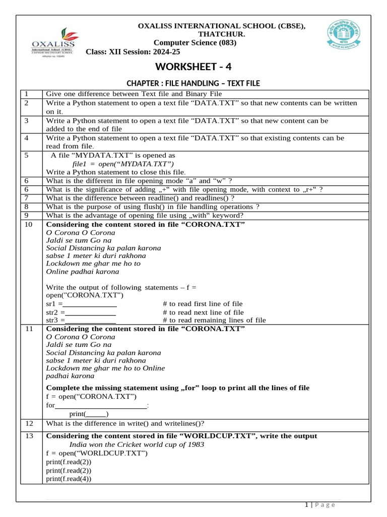 WORKSHEET 4 For Text Files | PDF | Text File | Computer File Formats