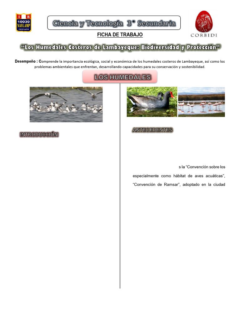 Ficha de Lectura y Actividades | PDF | Humedal | Agua