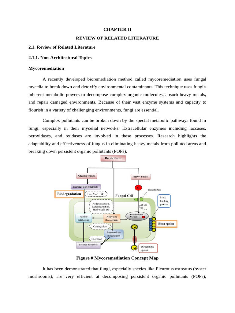 RRL DESIGN CBD_non-Architectural Approach Pa Lang To | PDF | Anaerobic ...