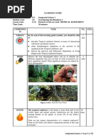 Four Layers of Tropical Rainforest | PDF | Rainforest | Botany