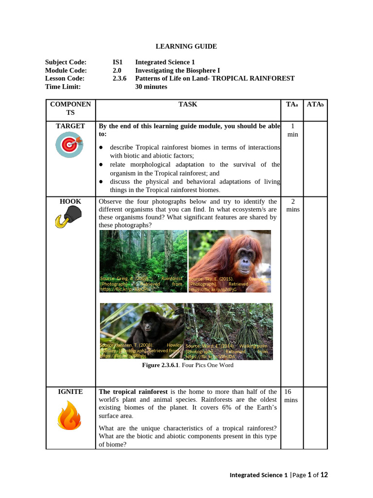 TROPICAL-RAINFOREST | PDF | Rainforest | Trees