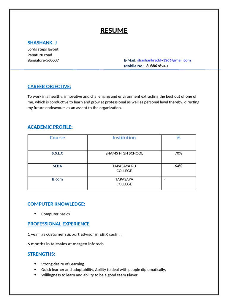 Entry-Level Job Seeker Resume | PDF
