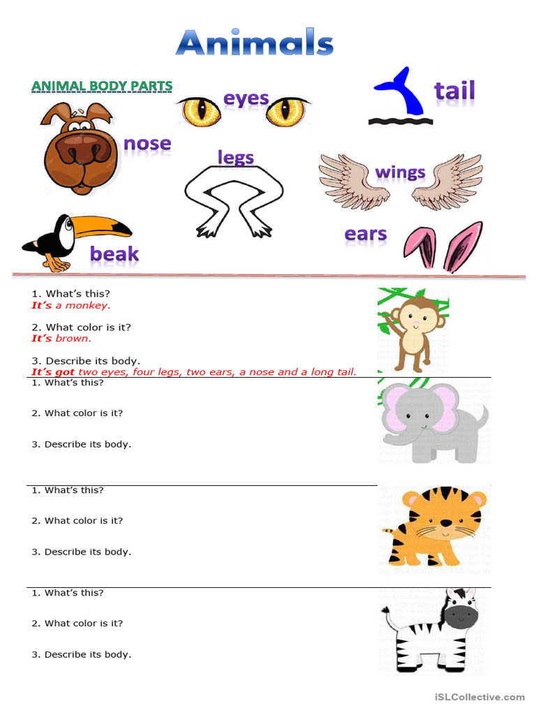 Animals - Animals body parts - Animals description | PDF
