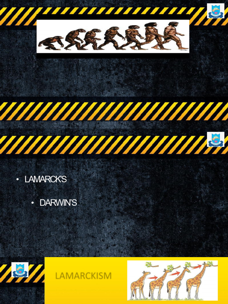 human evolution edited | PDF | Homo | Human Evolution